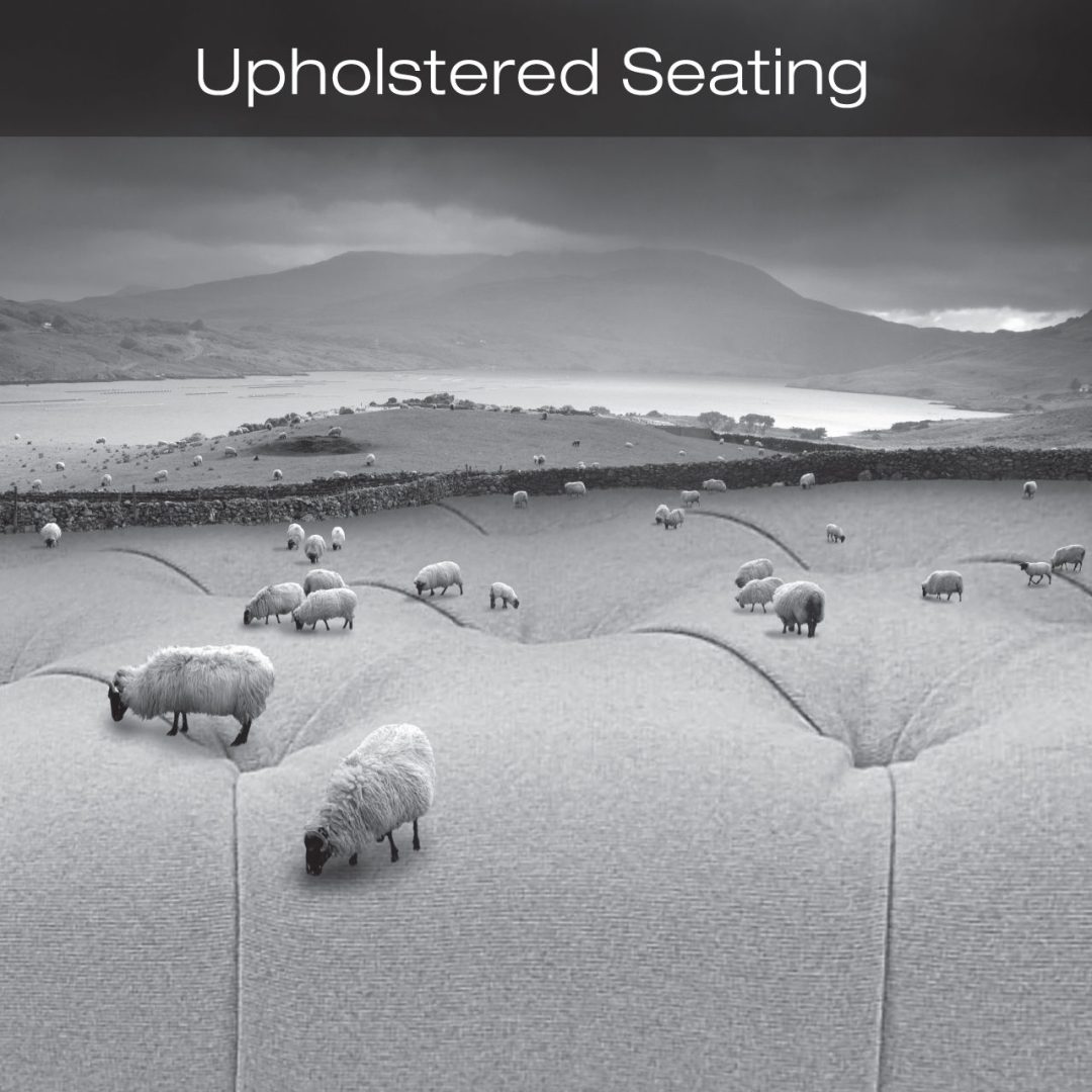 Paragon Design Group