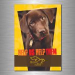 Portfolio | Paragon Design Group